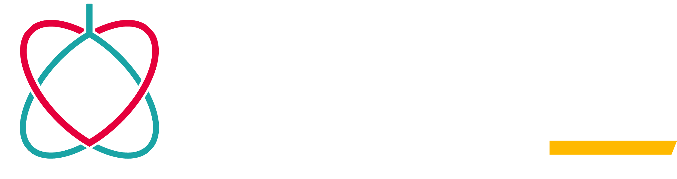 Single arterial access ECMELLA: A new concept and step-by-step ...